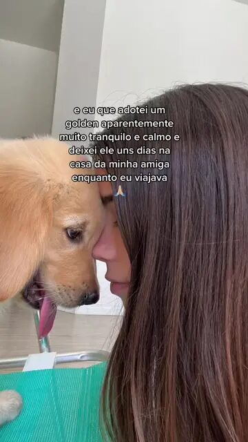 Video of Giulia Rosa: “cachorro mt tranquilo graças a deus 💞” – SUNOTI ...